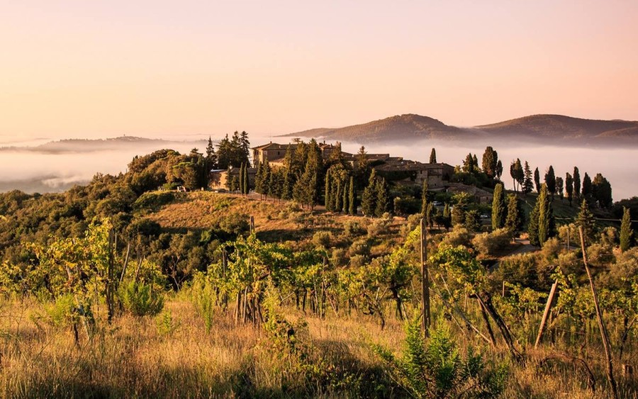 CRAME ITALIA - repere de gust și savoare | VinoItalia