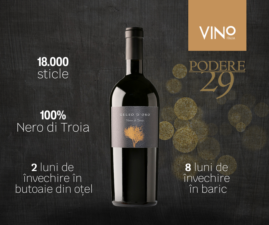 Gustă cultura și tradiția italiană, într-un pahar 🍷 | VinoItalia