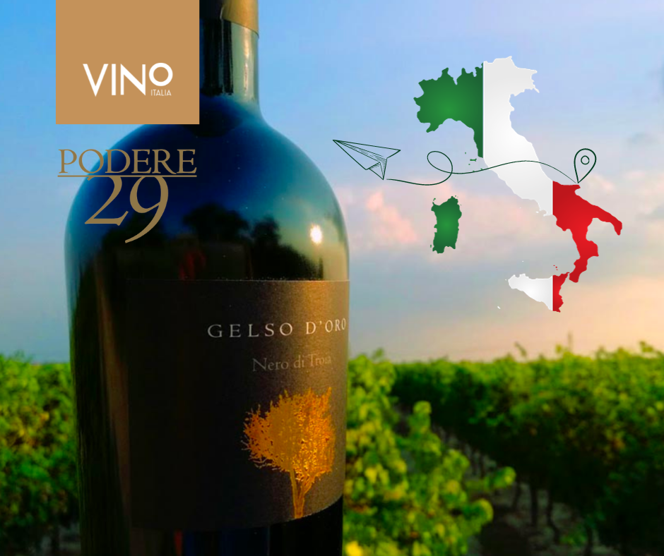 Gustă cultura și tradiția italiană, într-un pahar 🍷 | VinoItalia