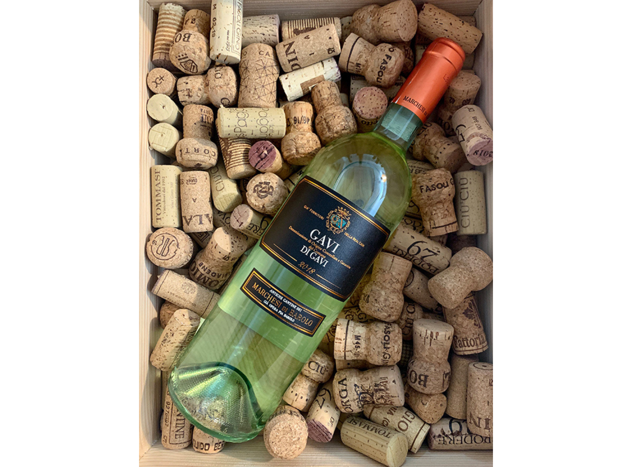 Gavi del Comune di Gavi | VinoItalia